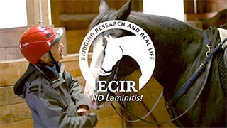 ECIR Group Inc. Announces Third Film Release | ECIR Group, Inc.